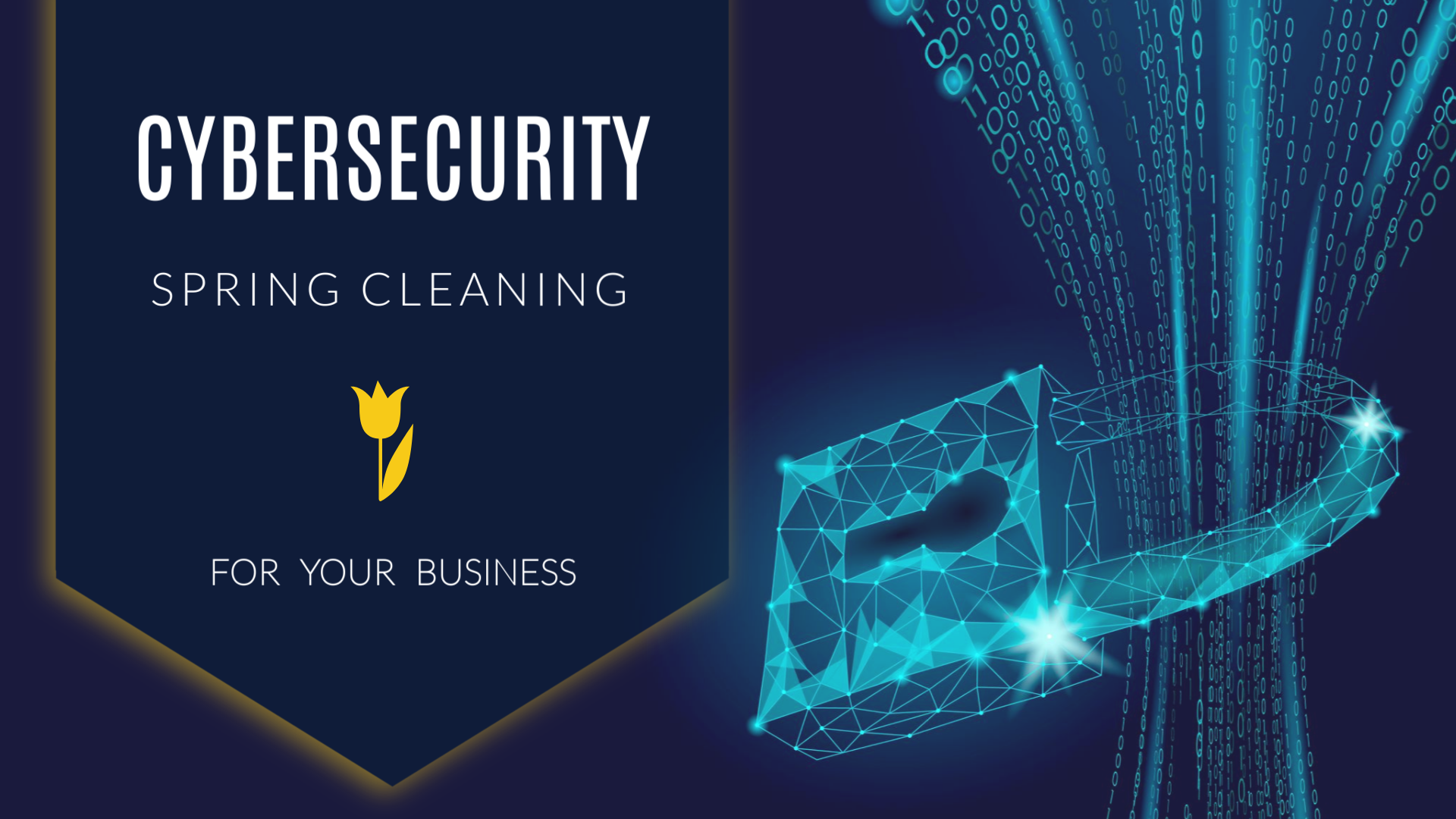 Cybersecurity Spring Cleaning